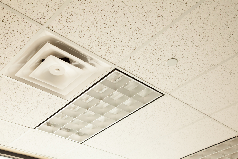 Gator Gypsum - Home Page