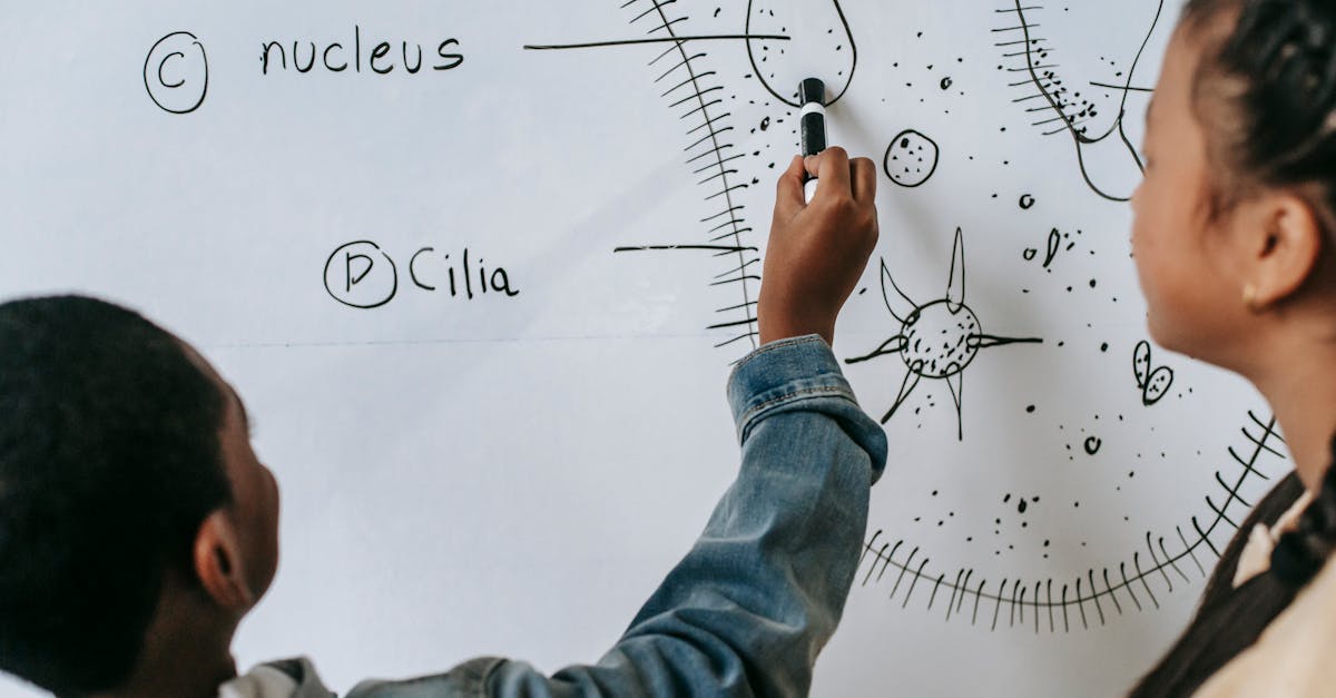 deCODE Genetics представляет подробную кар... | Gaya One