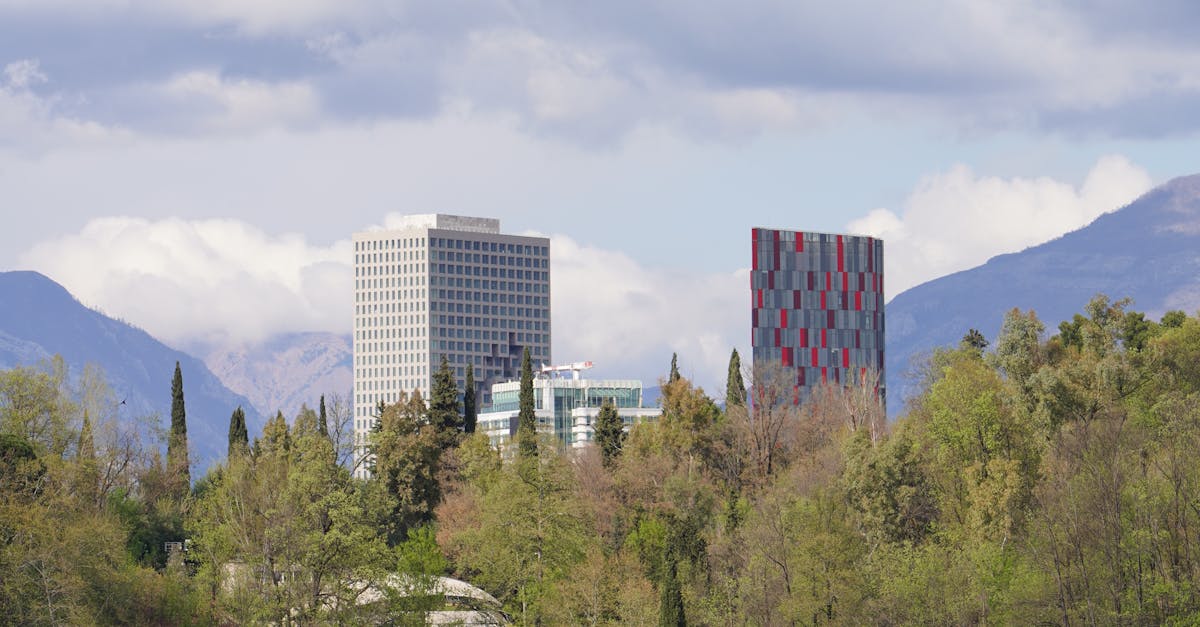 Mentok Urban Forest: PT Timah's 2025 Trans... | Gaya One