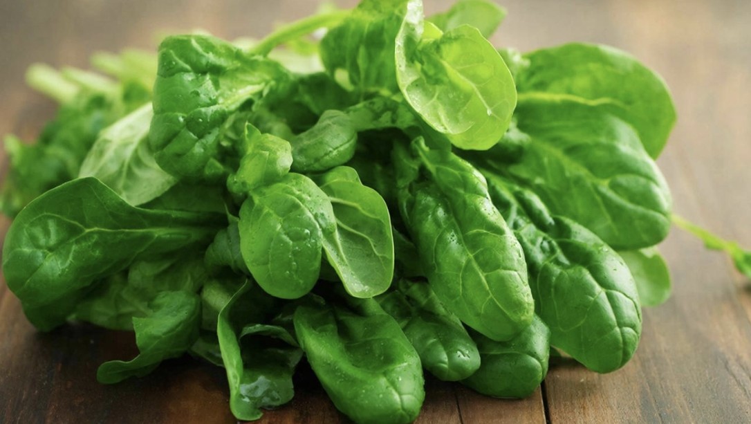 Fermentation Enhances Spinach Nutrition, O... | Gaya One