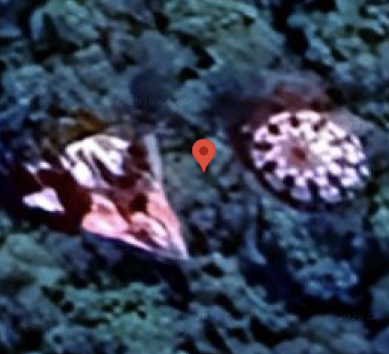 Reports of Exotic Craft Analysis at Naval ... | Gaya One