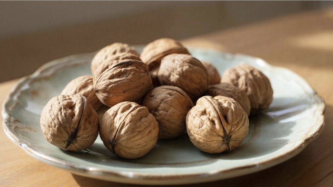 Pilot Program Launches Cultured Meat Farm ... | Gaya One