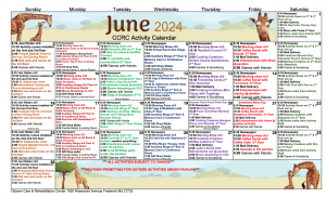 Activity Calendars - Citizens Care and Rehabilitation Center of Frederick
