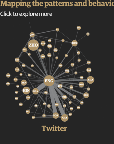The Digital Language Divide