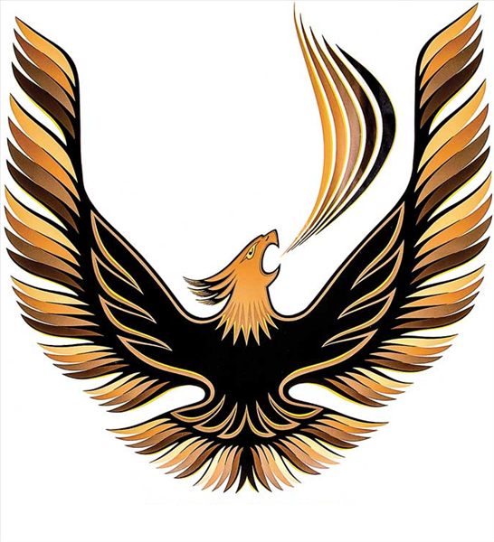 1980 Turbo Trans Am Hood Bird Decal. Color: Gold
