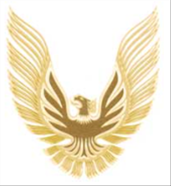 1967-81 Firebird Dark Gold/Bronze Decal Yellow
