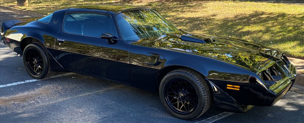 1967-81 Firebird Ultimate Gold Decal Kit