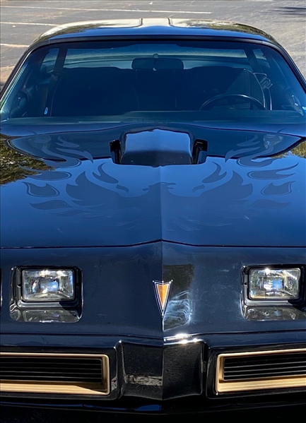 1967-81 Firebird Ultimate Gold Decal Kit