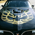 1967-81 Firebird Hood Bird Decal Black