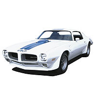 1967-81 Firebird 1970 1972 Blue Stripe Kit