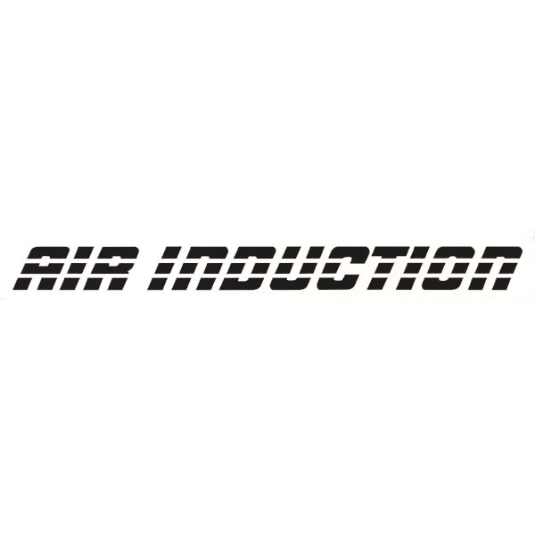 1982-02 Firebird Air Induction Decal