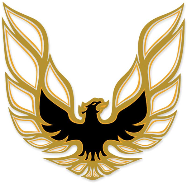 1973-1978 Trans Am Black, Gold, Orange Sail Panel Bird Decal