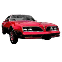 1967-81 Firebird Lower Body Stripe Kit