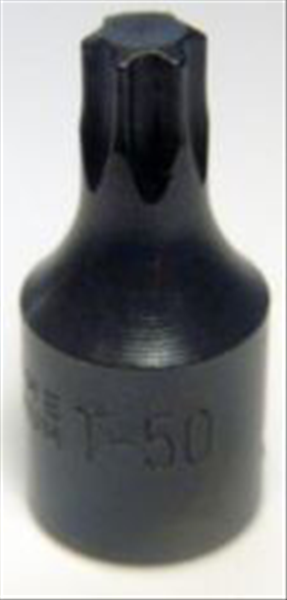 Seat belt bolt T50 torx socket.