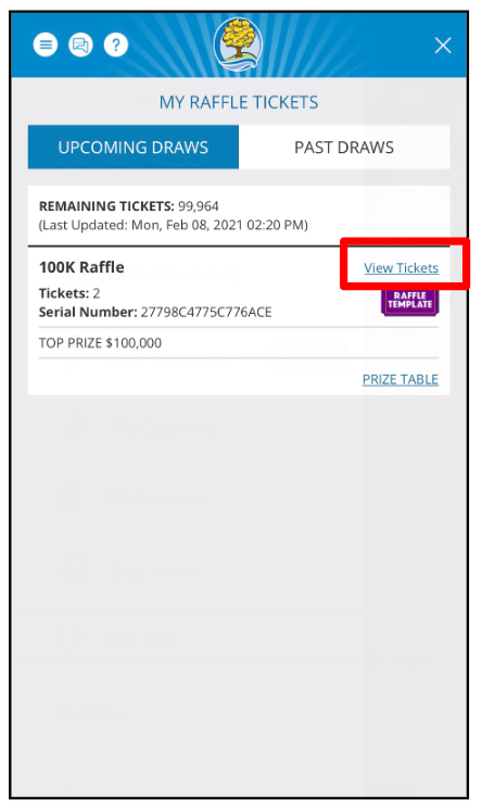 Viewing My Online Raffle Tickets | Michigan Lottery FAQ
