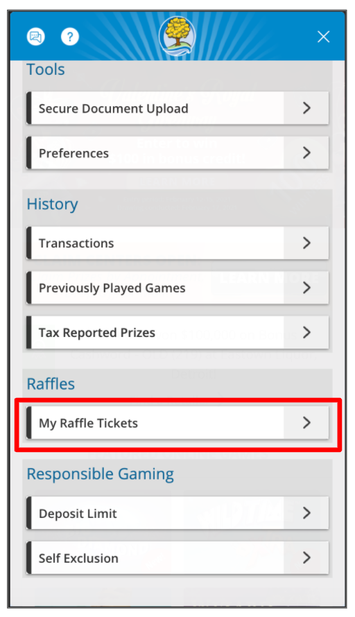 Viewing My Online Raffle Tickets | Michigan Lottery FAQ