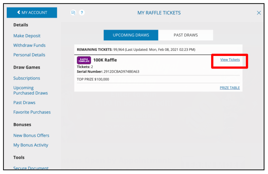 Viewing My Online Raffle Tickets | Michigan Lottery FAQ