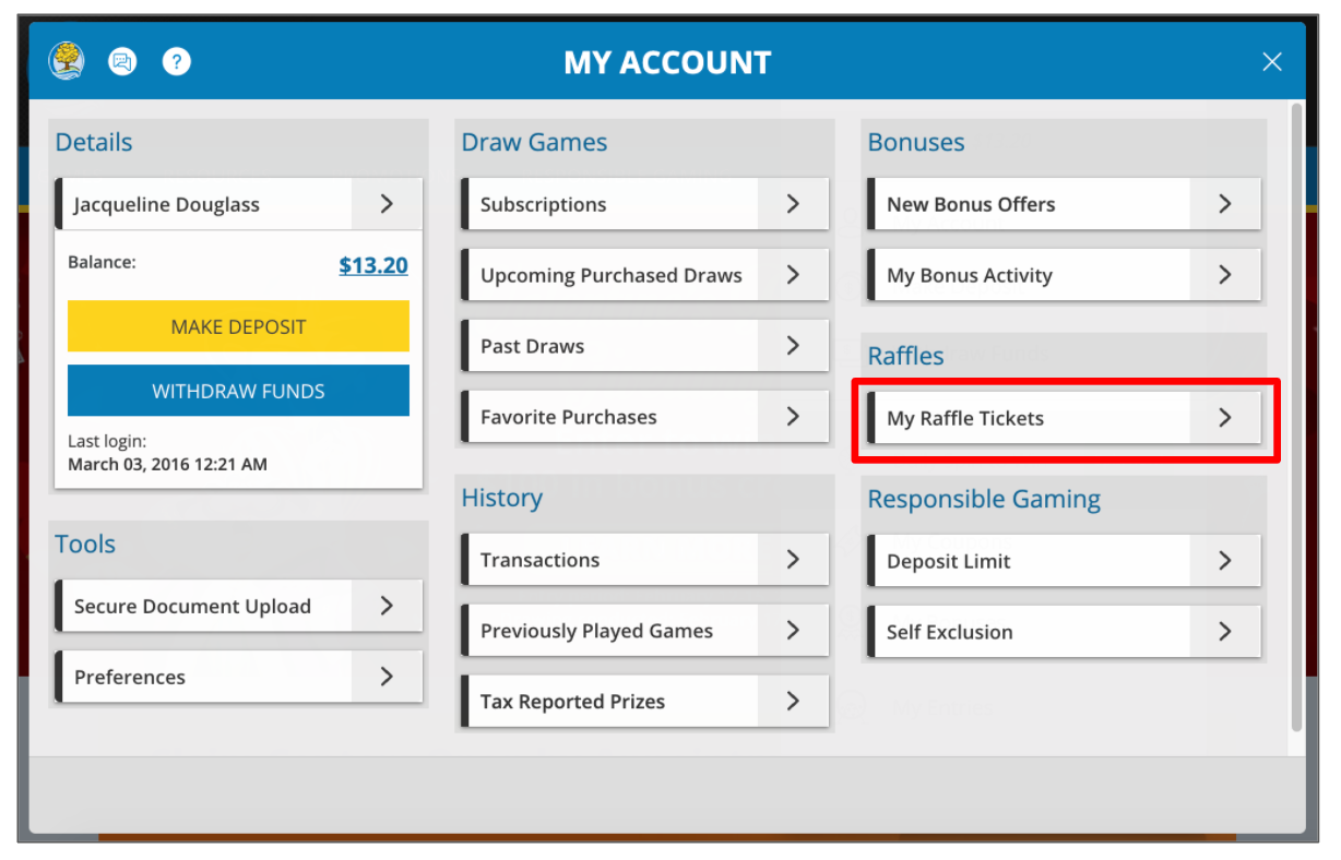 Viewing My Online Raffle Tickets | Michigan Lottery FAQ