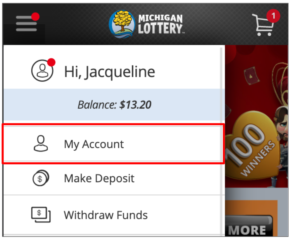 Viewing My Online Raffle Tickets | Michigan Lottery FAQ