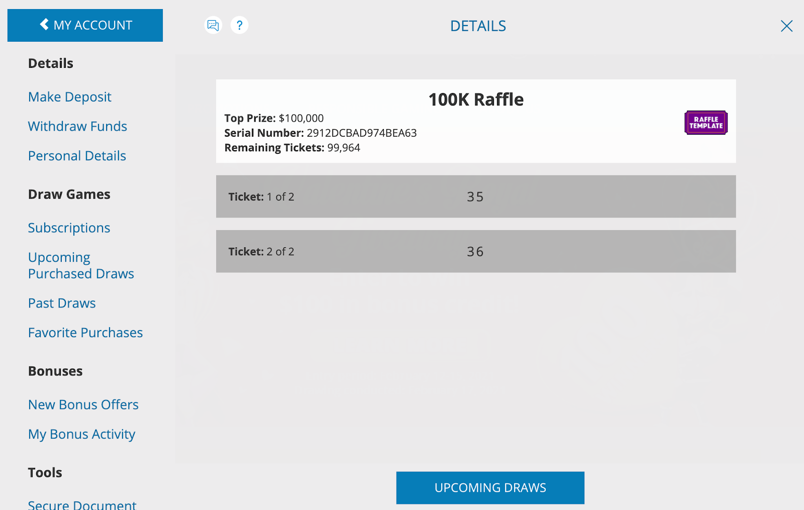 Viewing My Online Raffle Tickets | Michigan Lottery FAQ