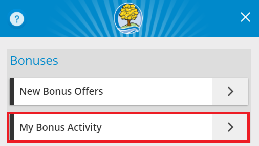 Locating My Bonus Activity in My Account | Michigan Lottery FAQ
