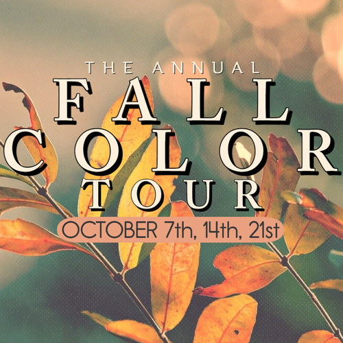 MyNorthTickets | Annual Fall Color Tour