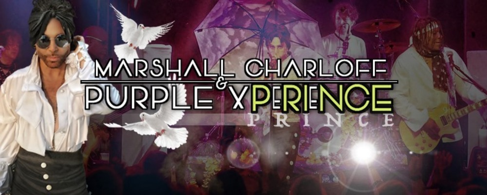 Furniture Factory Bar and Grill – Marshall Charloff & Purple Xperience ...