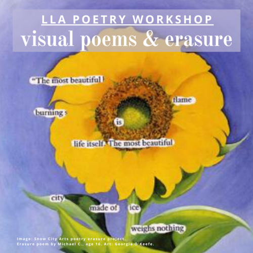 Red Pin Tix | Poetry Workshop: Visual Poems & Erasure