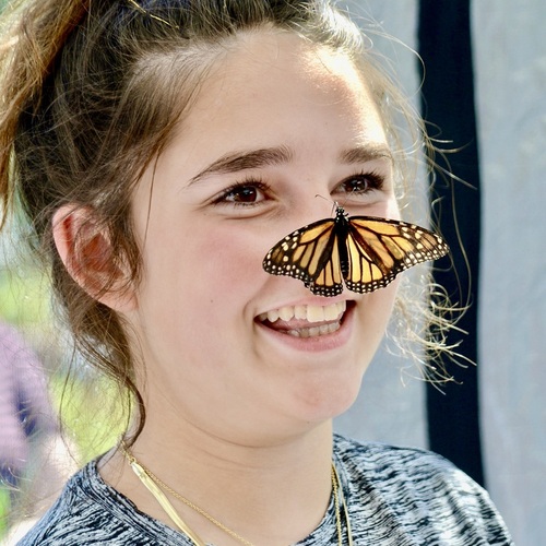 Village Heritage Foundation – Flutterby Festival 2025