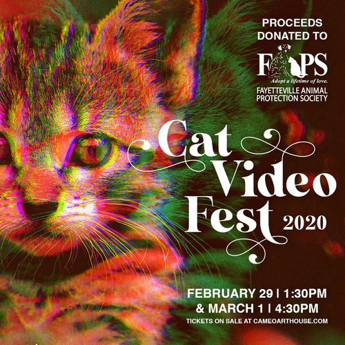 Cameo Art House Theatre – Cat Video Fest 2020 (March 1st)