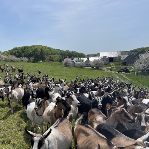 Idyll Farms – Idyll Farms Tour