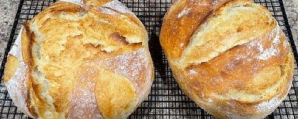 CSU Extension of Garfield County – Sourdough Basics: Caring for your ...