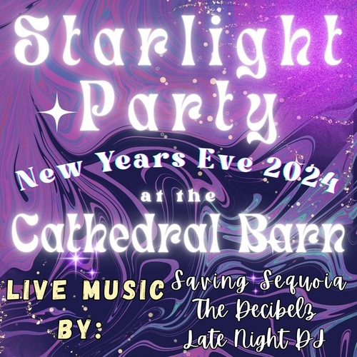 MiMusic and TC Violin Co – Starlight Party