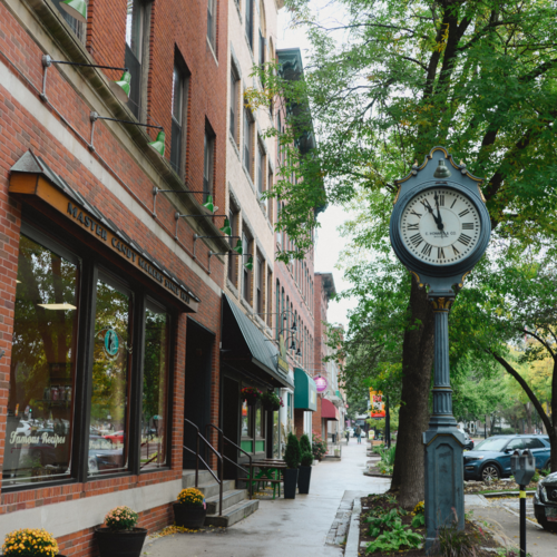 Radically Rural – Innovative Rural Business Models