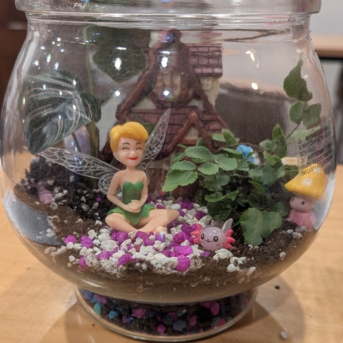 Goodell Gardens & Homestead – Make & Take Fairy Gardens w/ Steph’s Sprouts