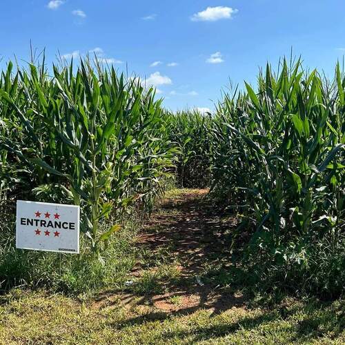 Wood Ridge Farm Brewery – Fall Festival at Wood Ridge Farm