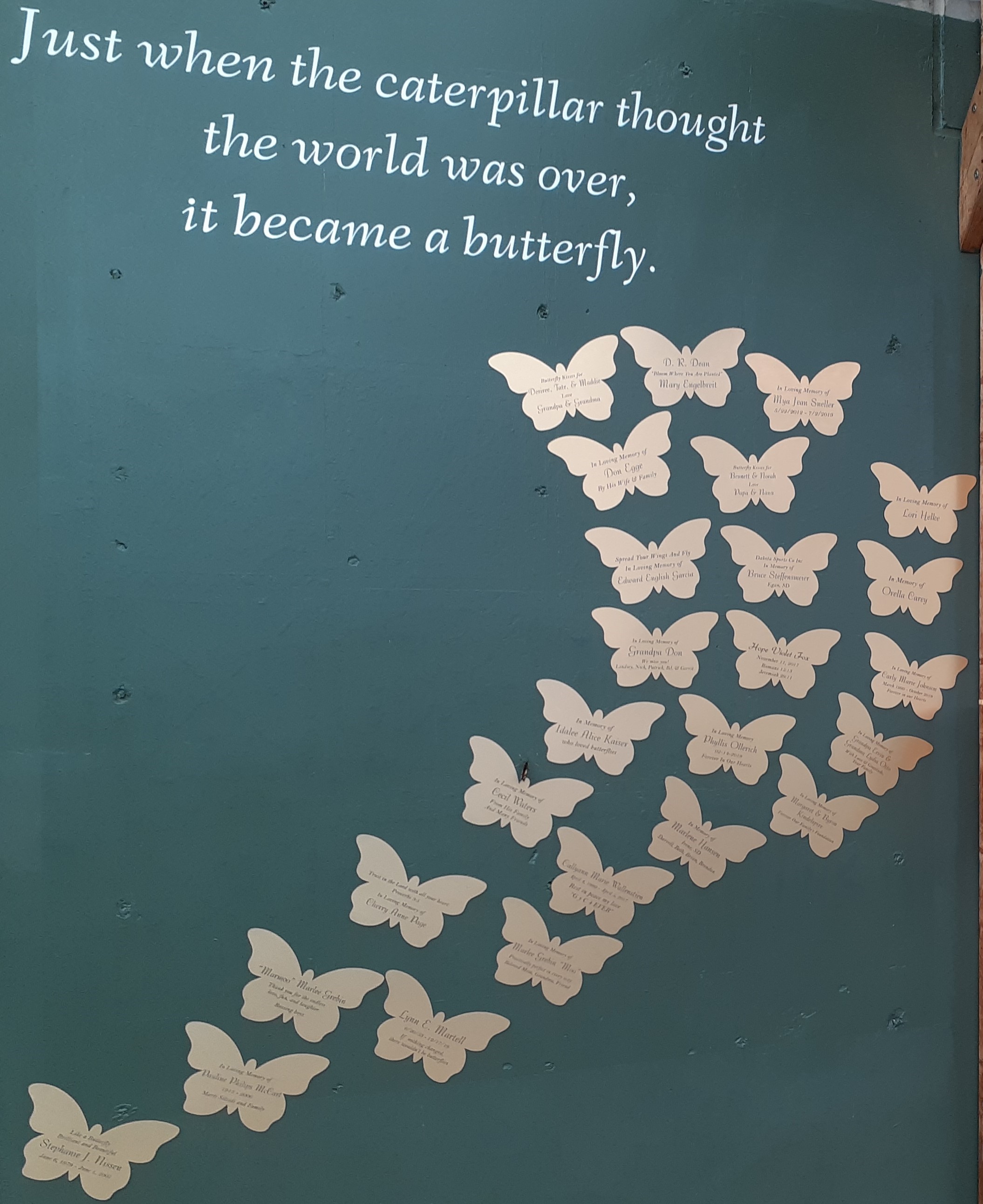 Butterfly Plaque | Powered By GiveSmart