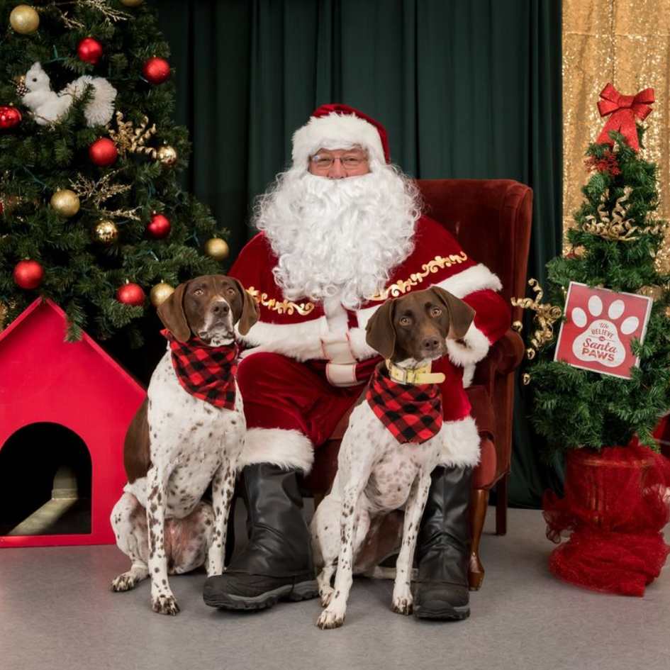 Pet Photos With Santa Fundraiser