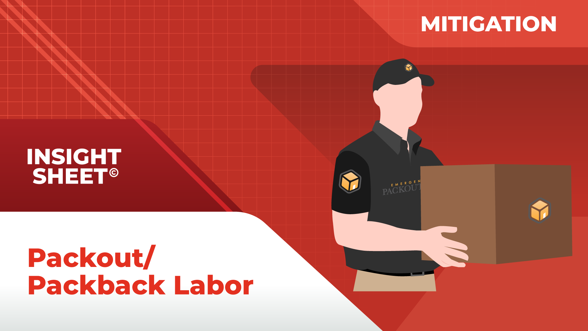 Packout/Packback Labor Insight Sheets Database - Actionable Insights