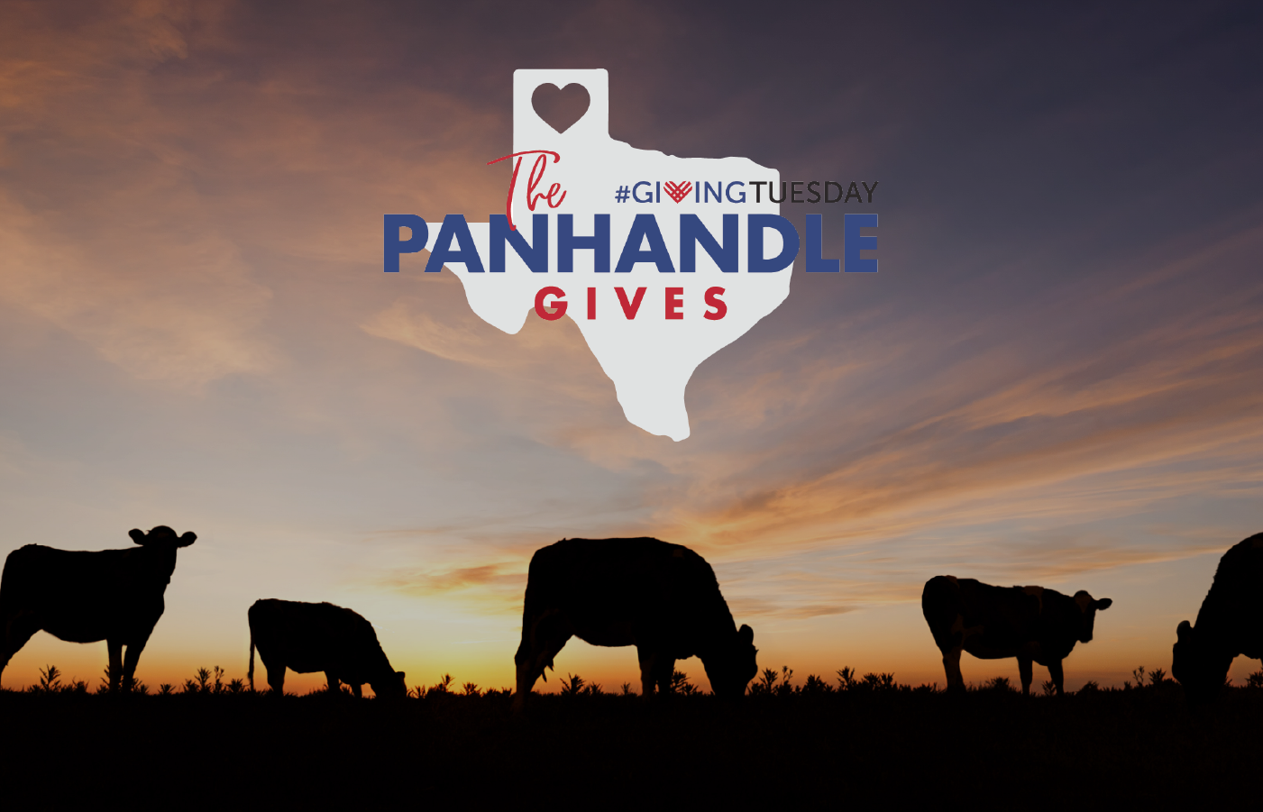 Downloads | The Panhandle Gives