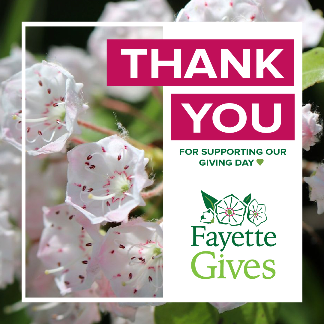 Downloads | Fayette Gives 2024