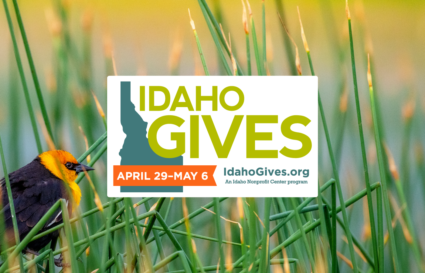 Downloads Idaho Gives