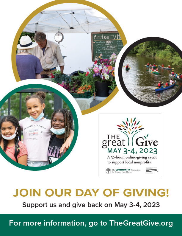 Downloads | The Great Give