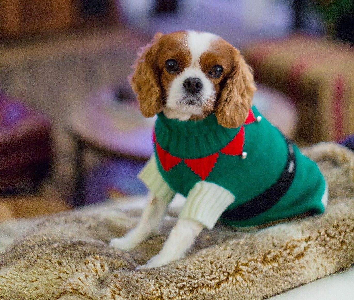 ‘Almost all' Christmas jumpers made using plastic, UK charity warns