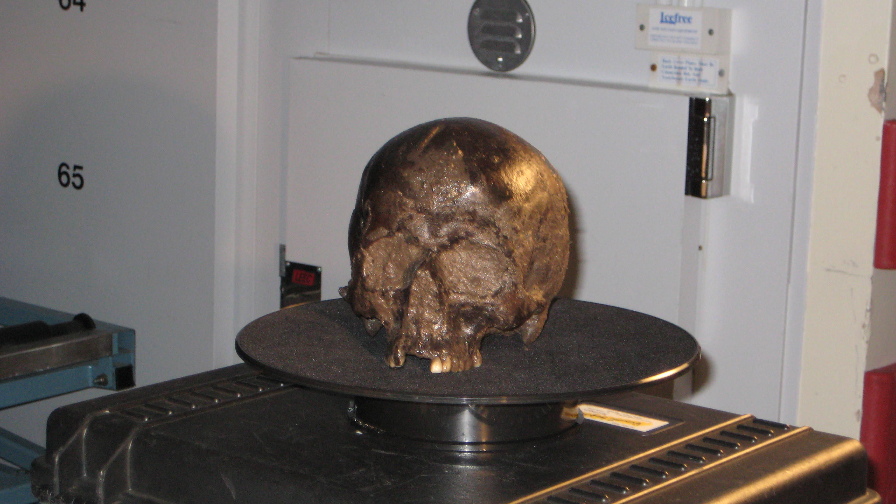 Secrets of 2,600-year-old Heslington brain preservation unlocked