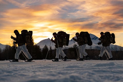 Royal Marines brave Arctic temperatures on winter training exercise in ...