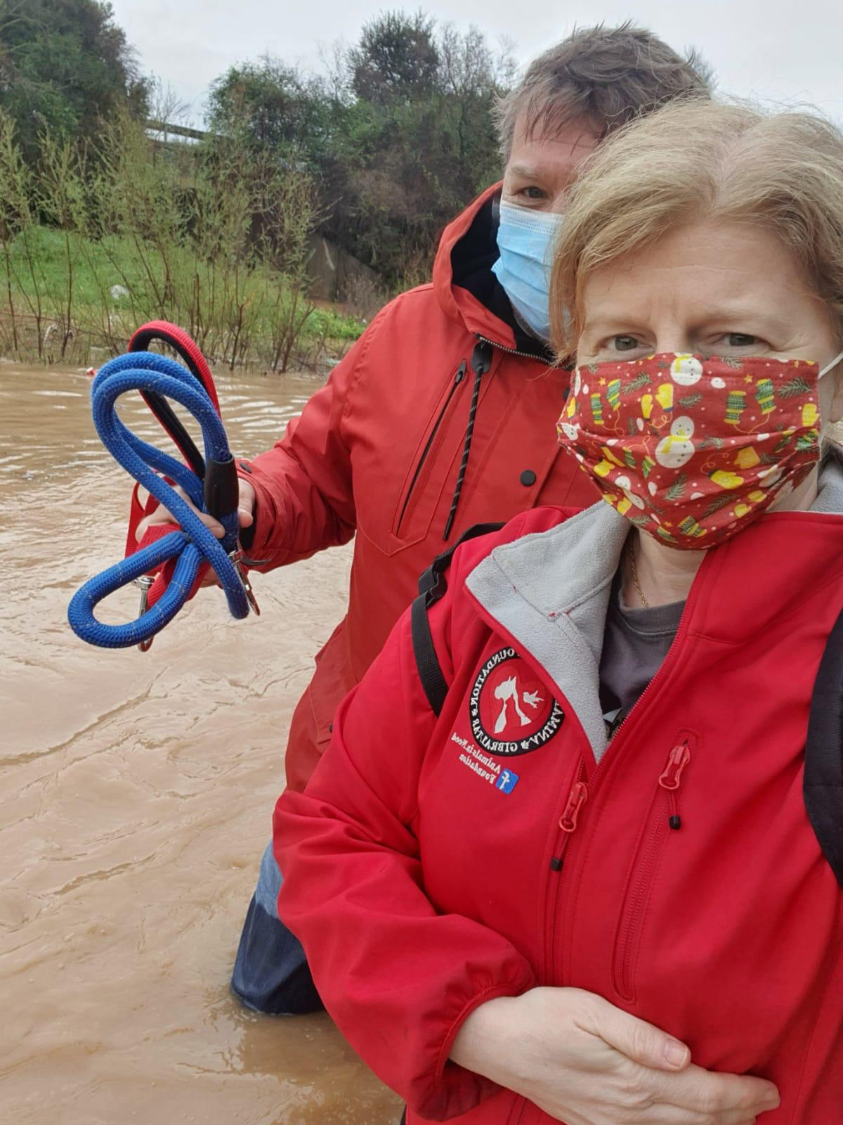Over £20,000 raised for animal shelter after severe flooding