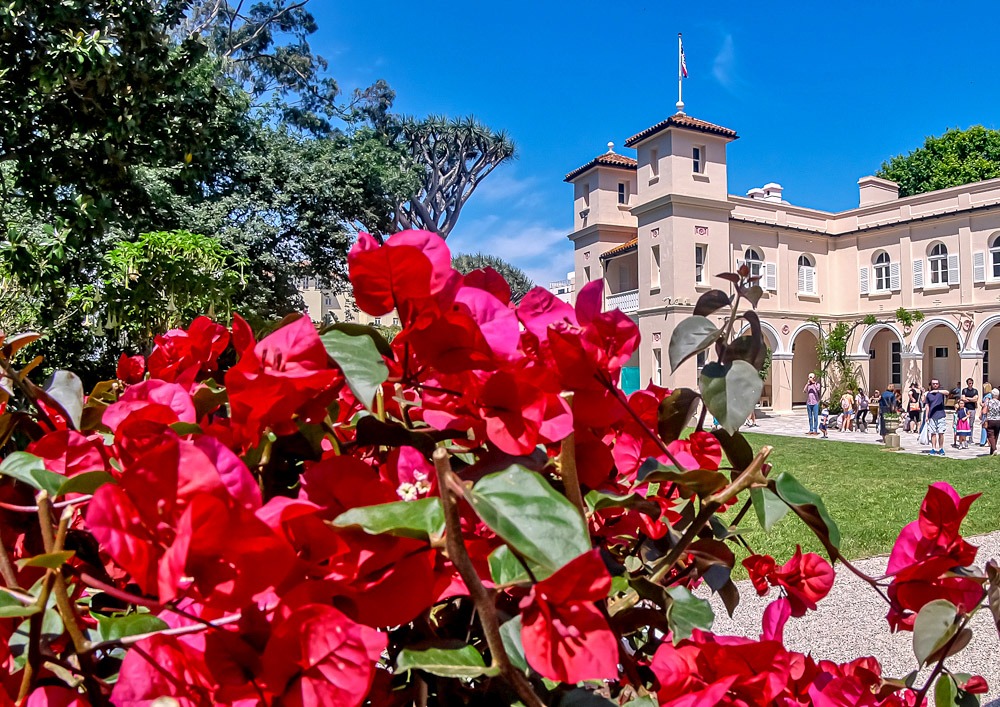 Convent Gardens holds charitable open day