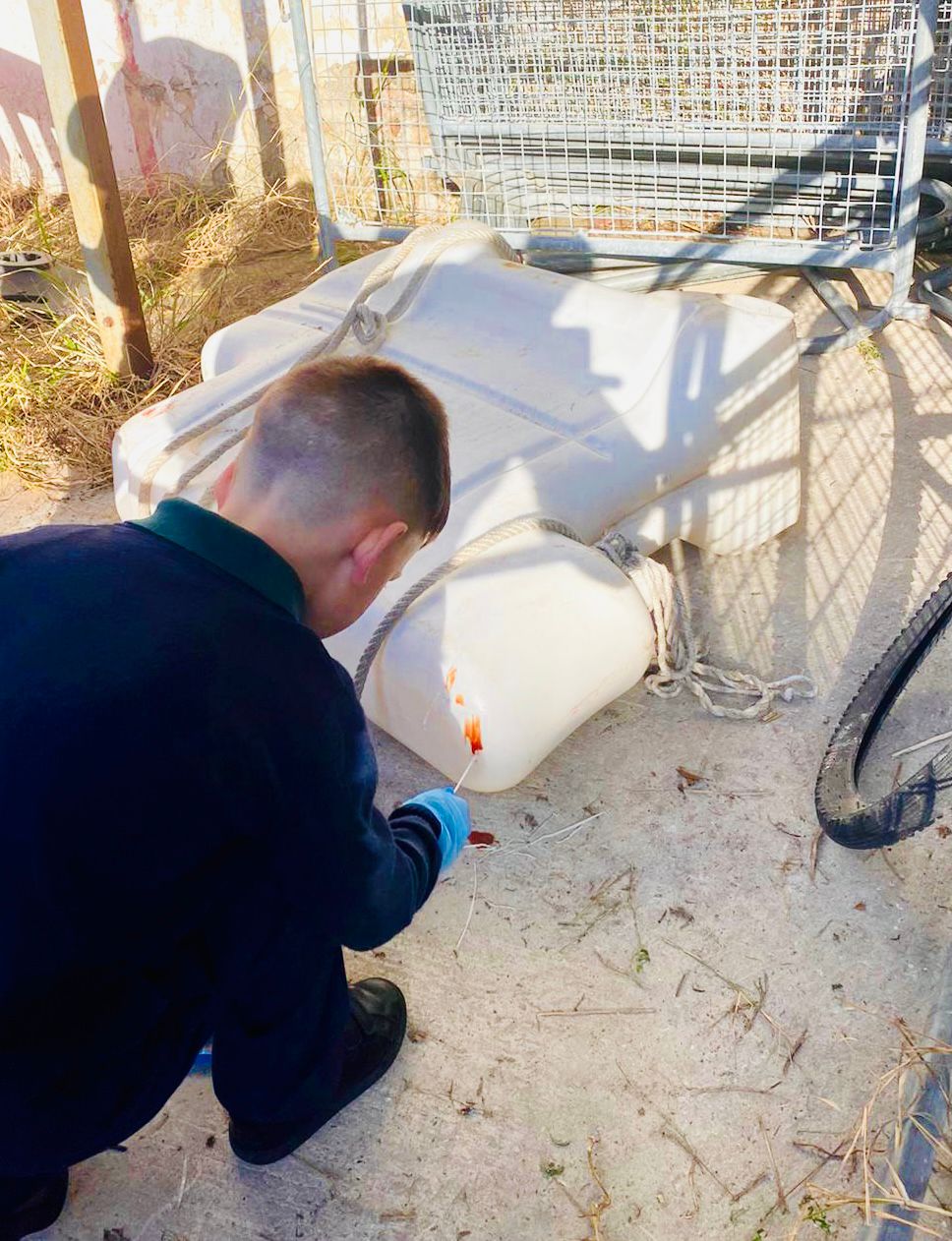 Young detectives test their skills during RGP visit