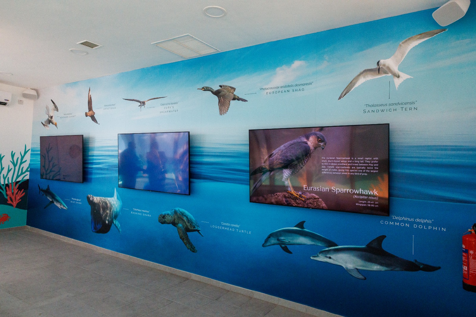 Marine Interpretation Centre opened at Europa Point